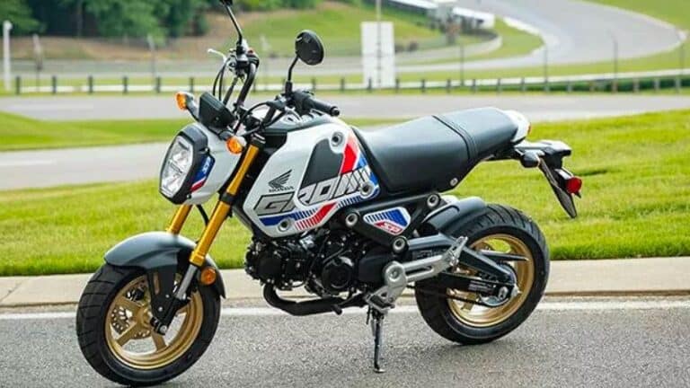 Why Honda Grom Is So Popular (Or Overrated)? -[6 Reasons)